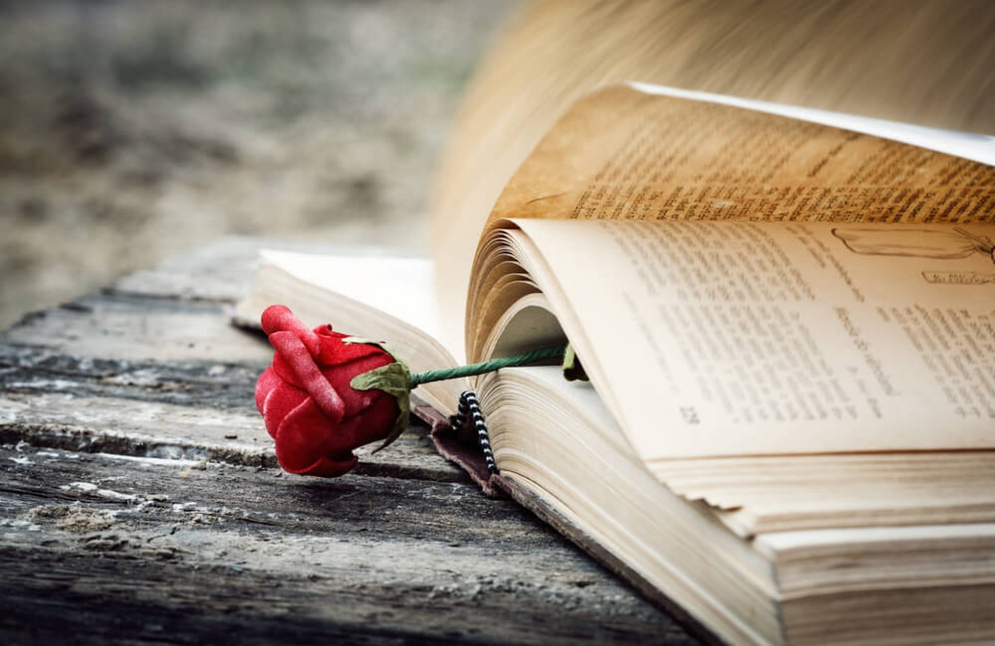 Best Fantasy Novels Of All Time Top Fantasy Novels To Lose Yourself CTC best-fantasy-novels-of-all-time-top-fantasy-novels-to-lose-yourself-ctc